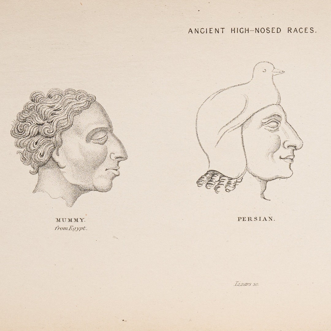 Ancient High-nosed Race: Egyptian / Persian / Assyrian - VERY RARE ...