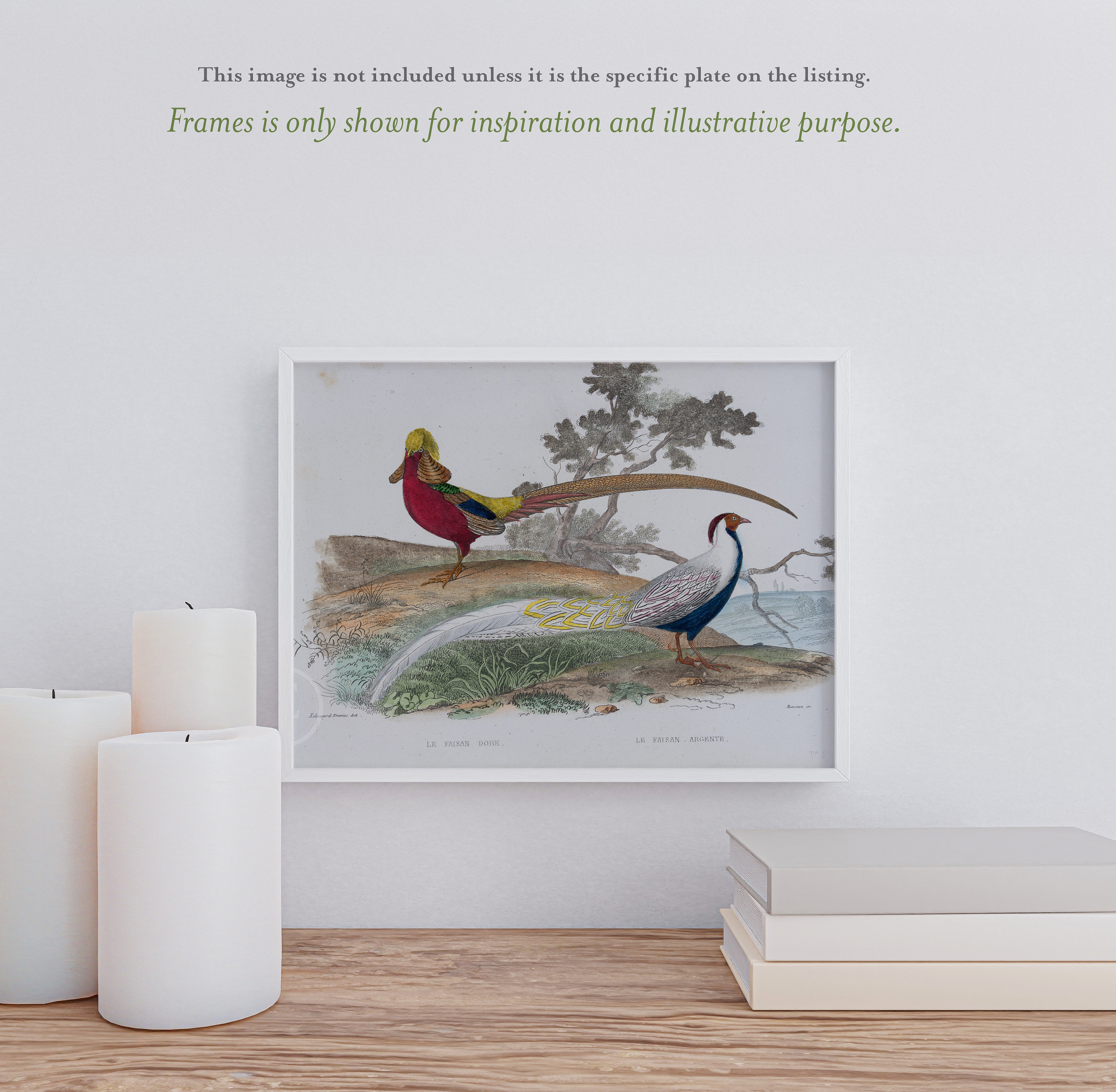 1845 CRESTED ROOSTER and HEN - Authentic Steel Engraving and Hand ...