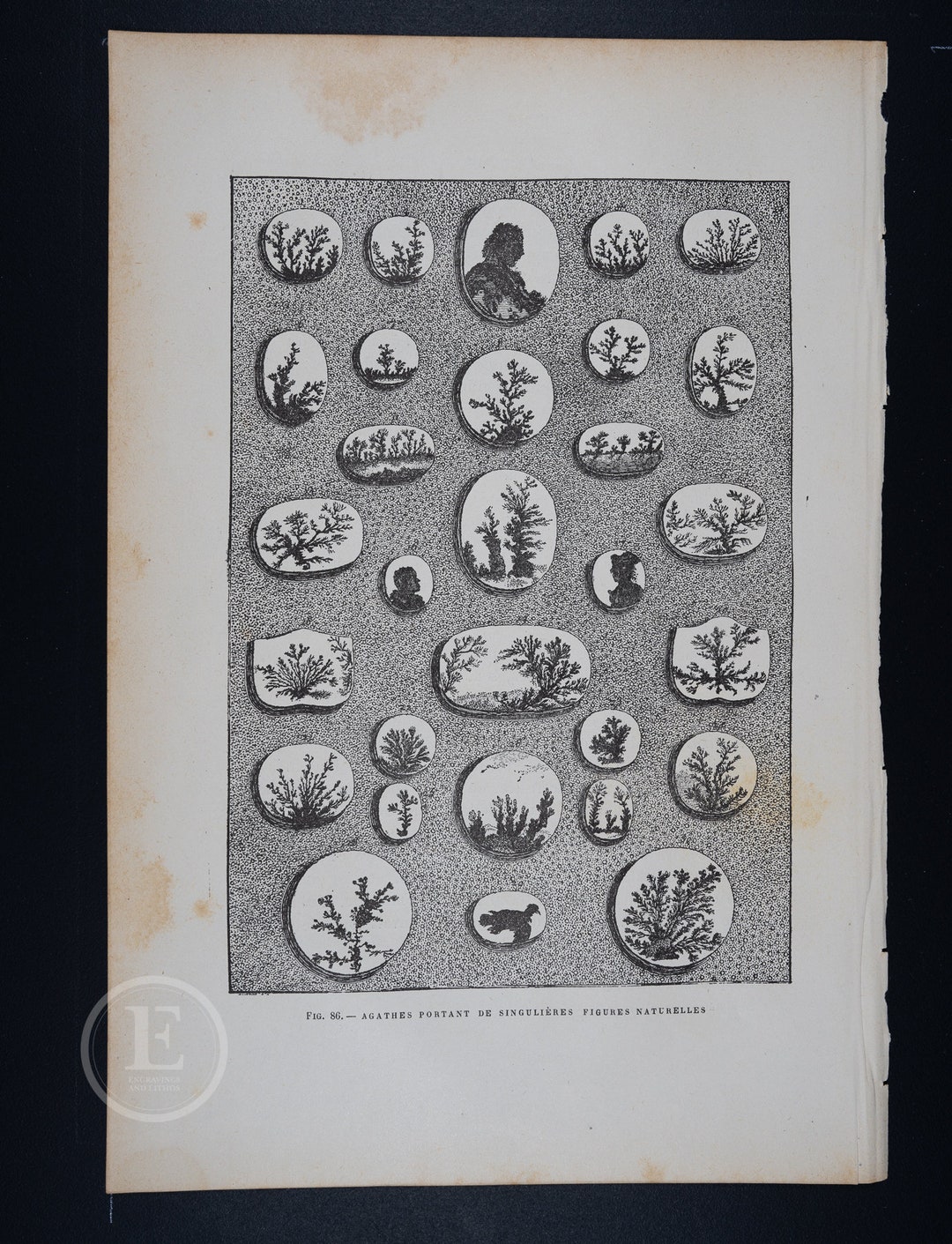 Agates Bearing Singular Natural Figures Very Rare Lithograph - Etsy