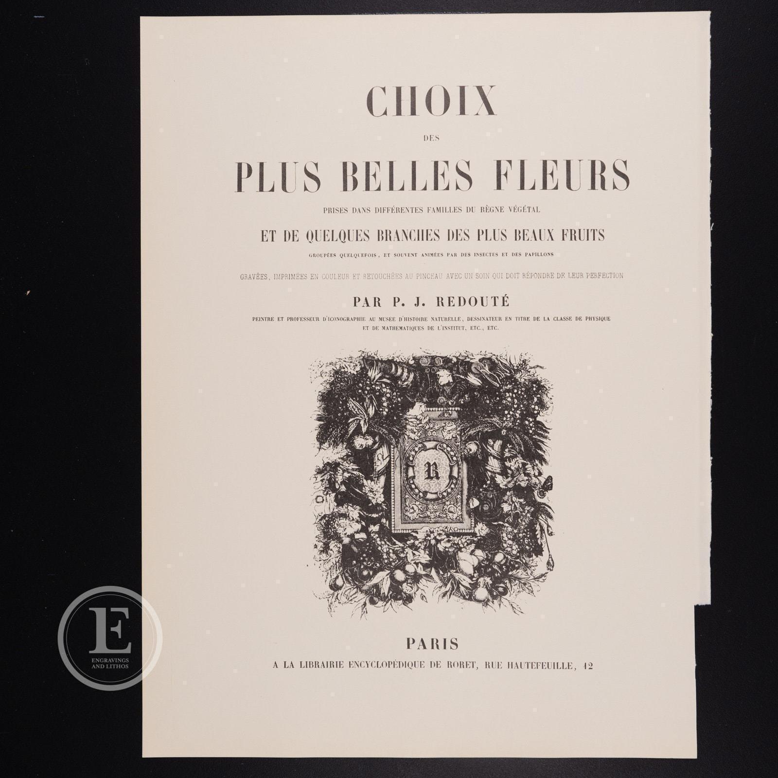 PINK HYACINTH - Flowers and Fruits by Pierre Redoute - Vintage Edition ...