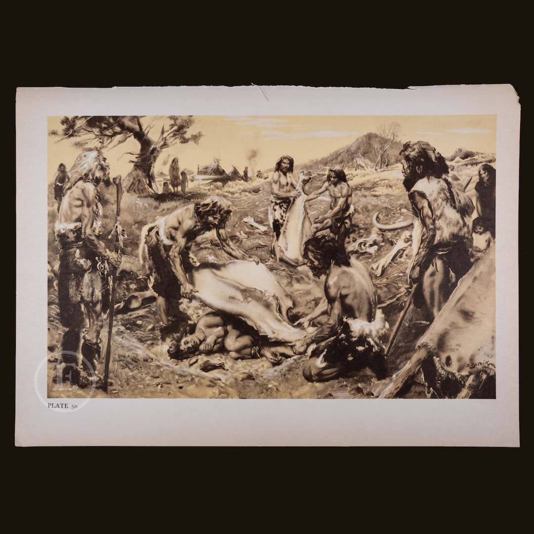 Woman's Grave in Vêstanice - Original Vintage Lithograph Print of ...