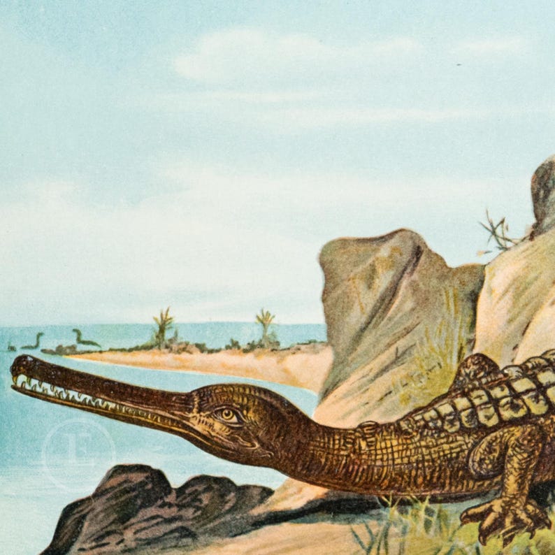 1911 TELEOSAURUS, Extinct Crocodile From Jurassic Period - Original ...
