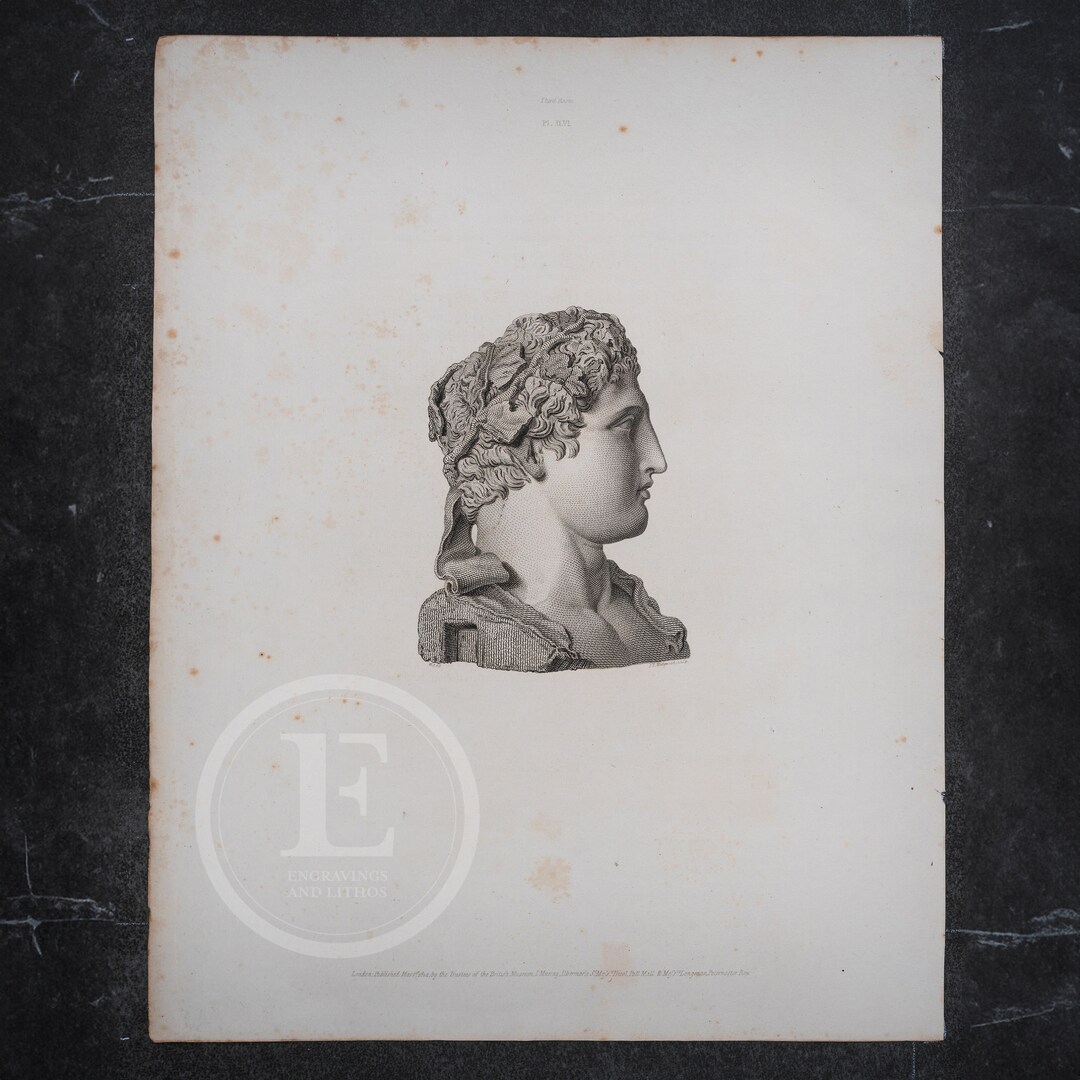 Terminal Head of the Young Hercules - EXQUISITE Original Plate - 1812 ...