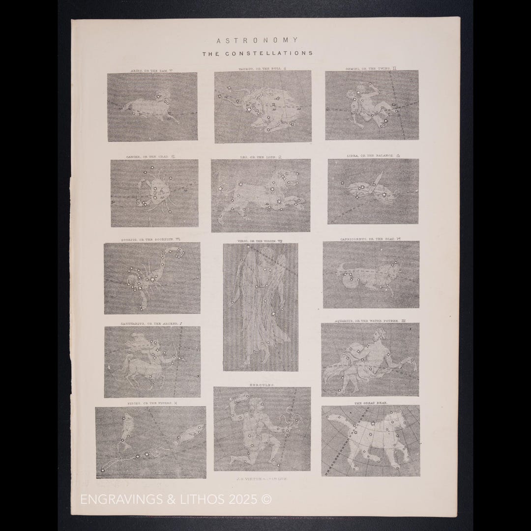 1890 Constellation Wall Art - Antique Astronomy Lithograph - Etsy