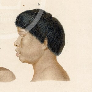 1849 Human Races: Botocudo, South American Indian - Dictionnaire D ...