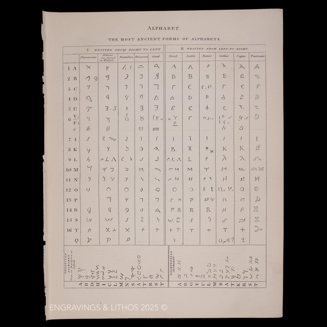 1890 the Most ANCIENT FORMS of ALPHABETS - Original Lithography From ...
