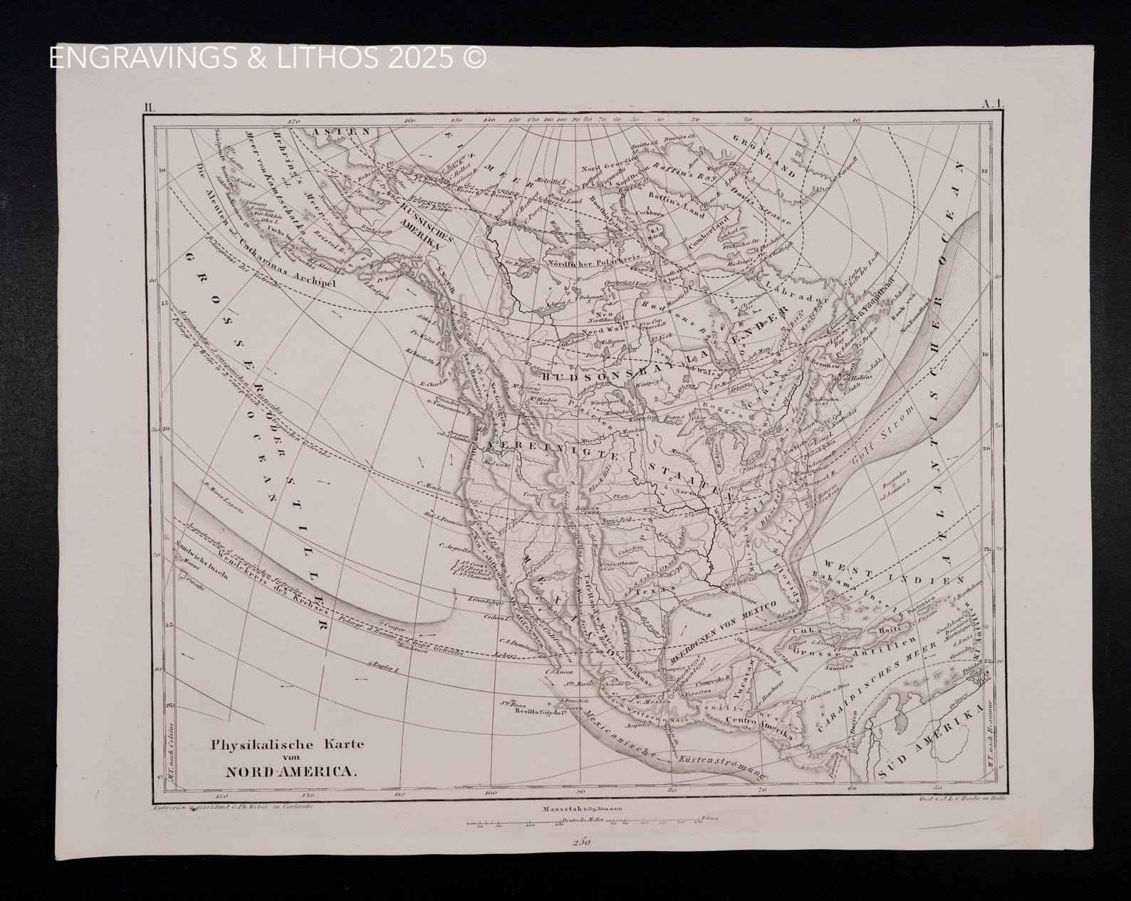 1849 North America Map Print: Antique German Engraving With Marine Life ...