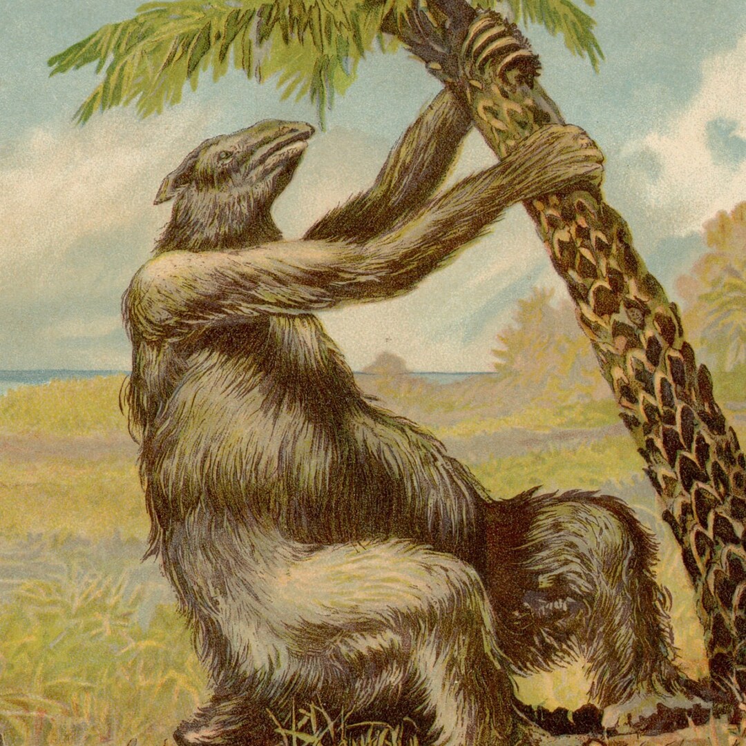 American Giant Ground Sloth Vintage Print From Tiere Der - Etsy