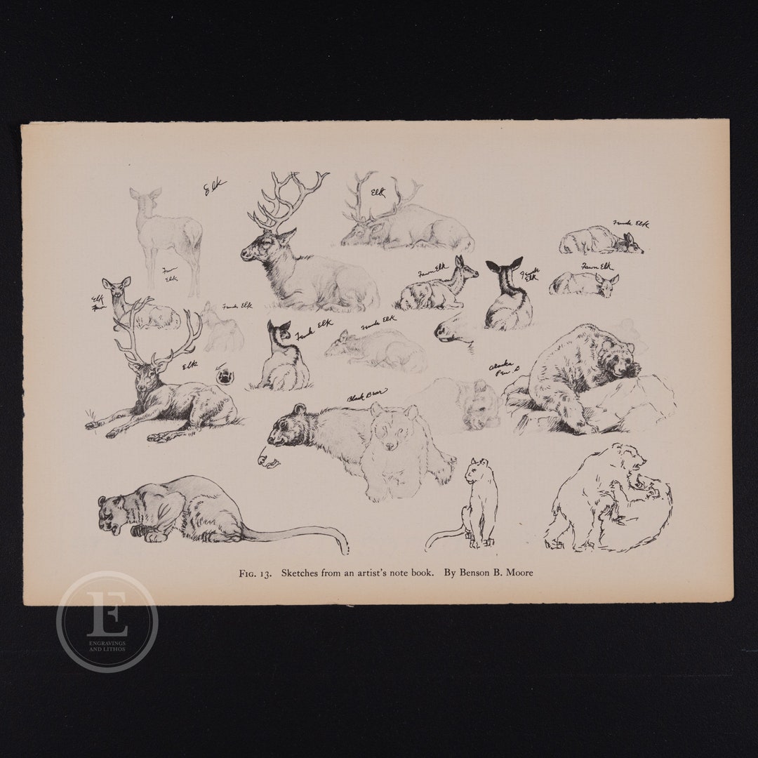 Sketches From an Artist's Note Book - Original Vintage Print Circa 1935 ...