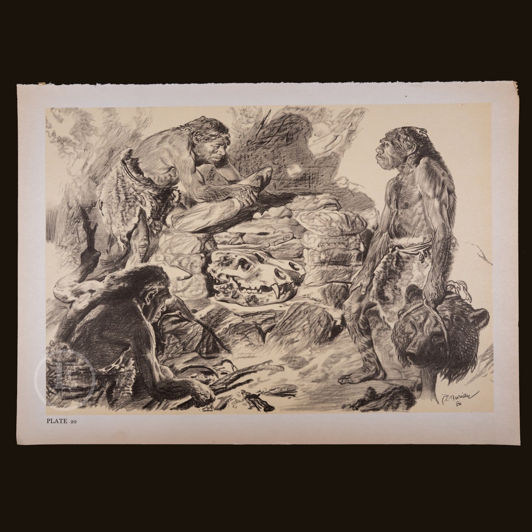 The CULT of the BEAR - Original Vintage Lithograph Print of Prehistoric ...