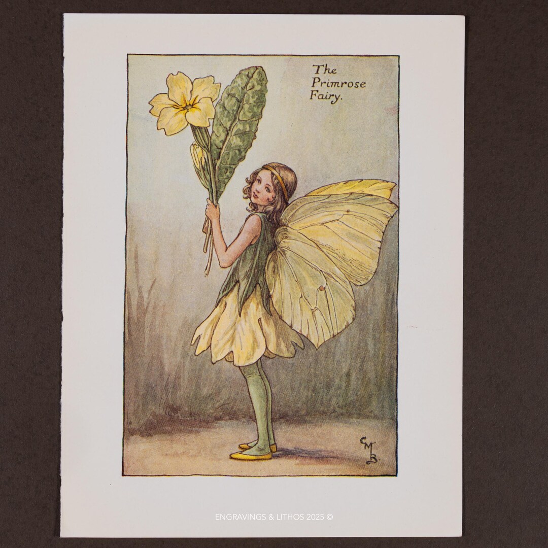 1940 the Primrose Fairy – 1940 Lithograph by Cicely Mary Barker - Etsy