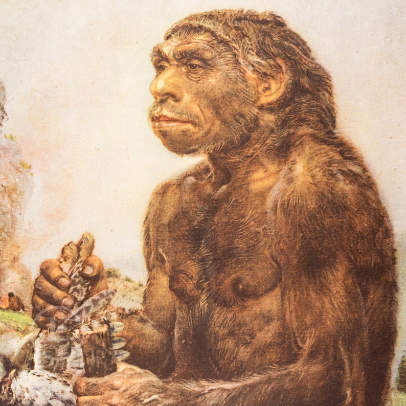 What the NEANDERTHALERS Look Like - Original Vintage Lithograph Print ...