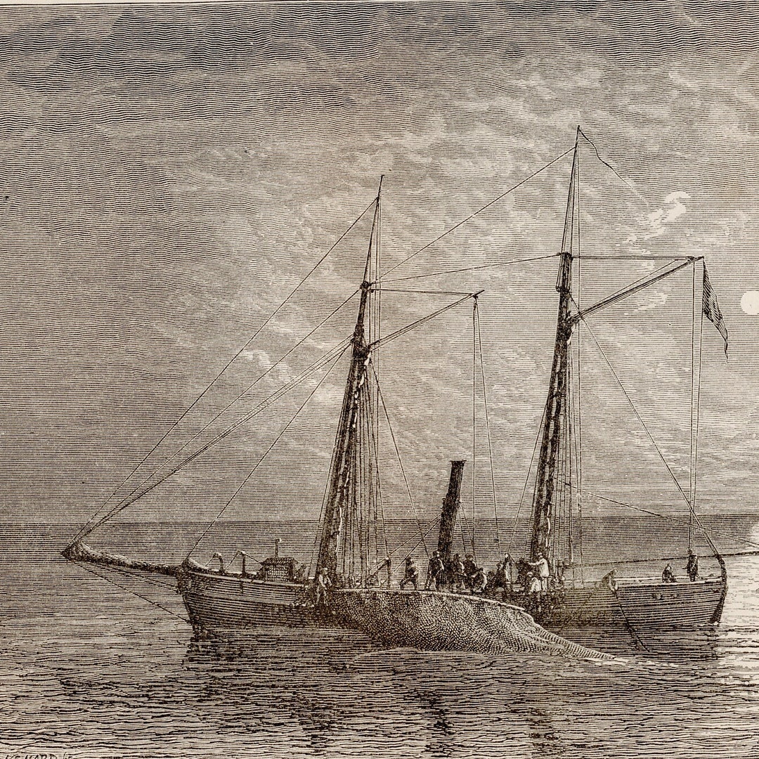 Night Fishing, Raising the Trawl . Old Print From 1866 . Rare Antique ...