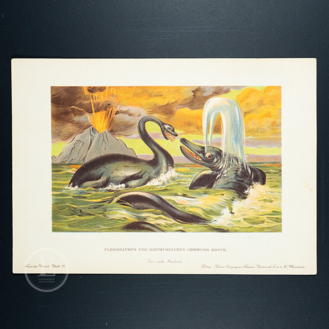 1902 DINOSAURS Long-necked Marine Reptiles Vintage Print From Tiere Der ...