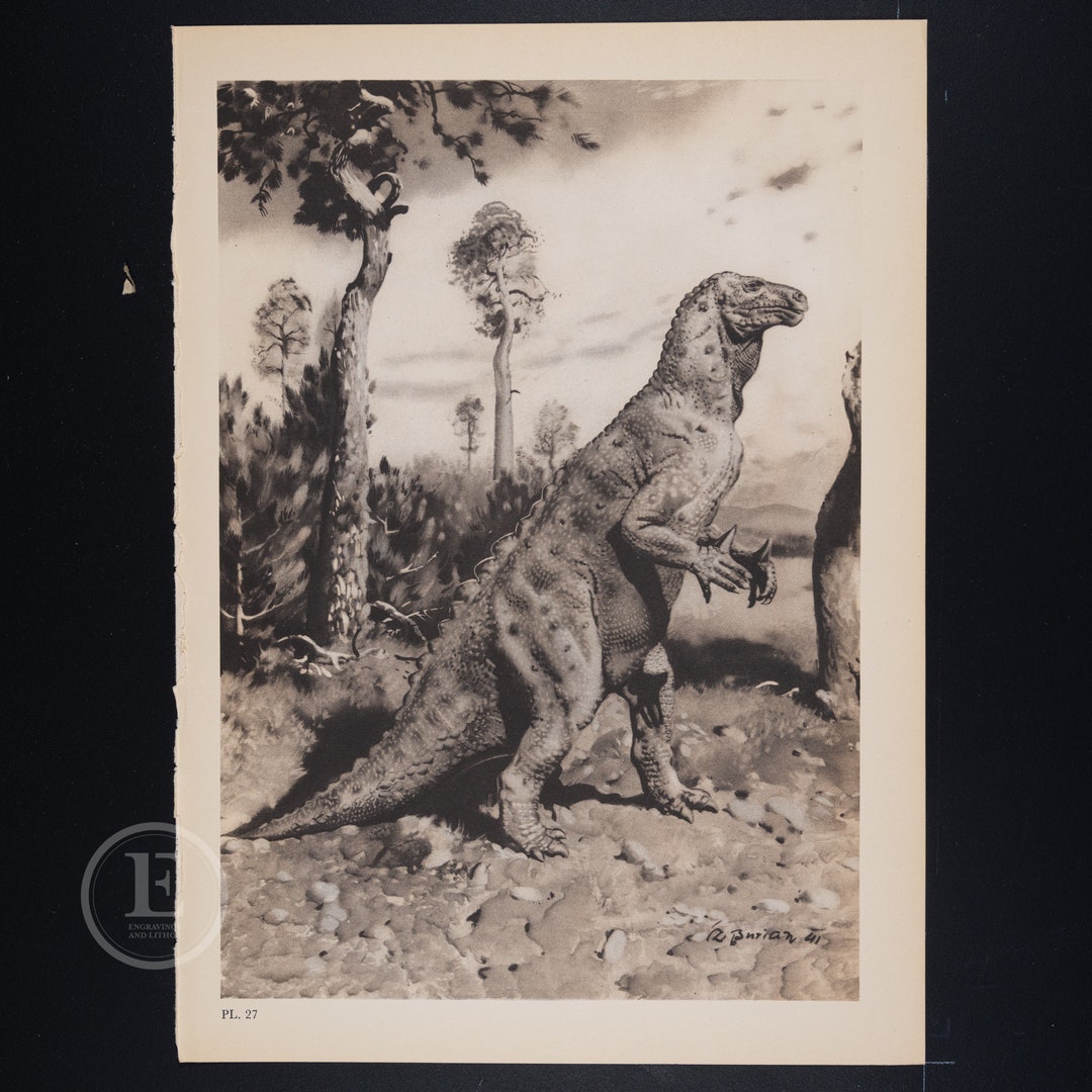 Iguanodon: Large Herbivorous Dinosaur From Late Jurassic - Original ...