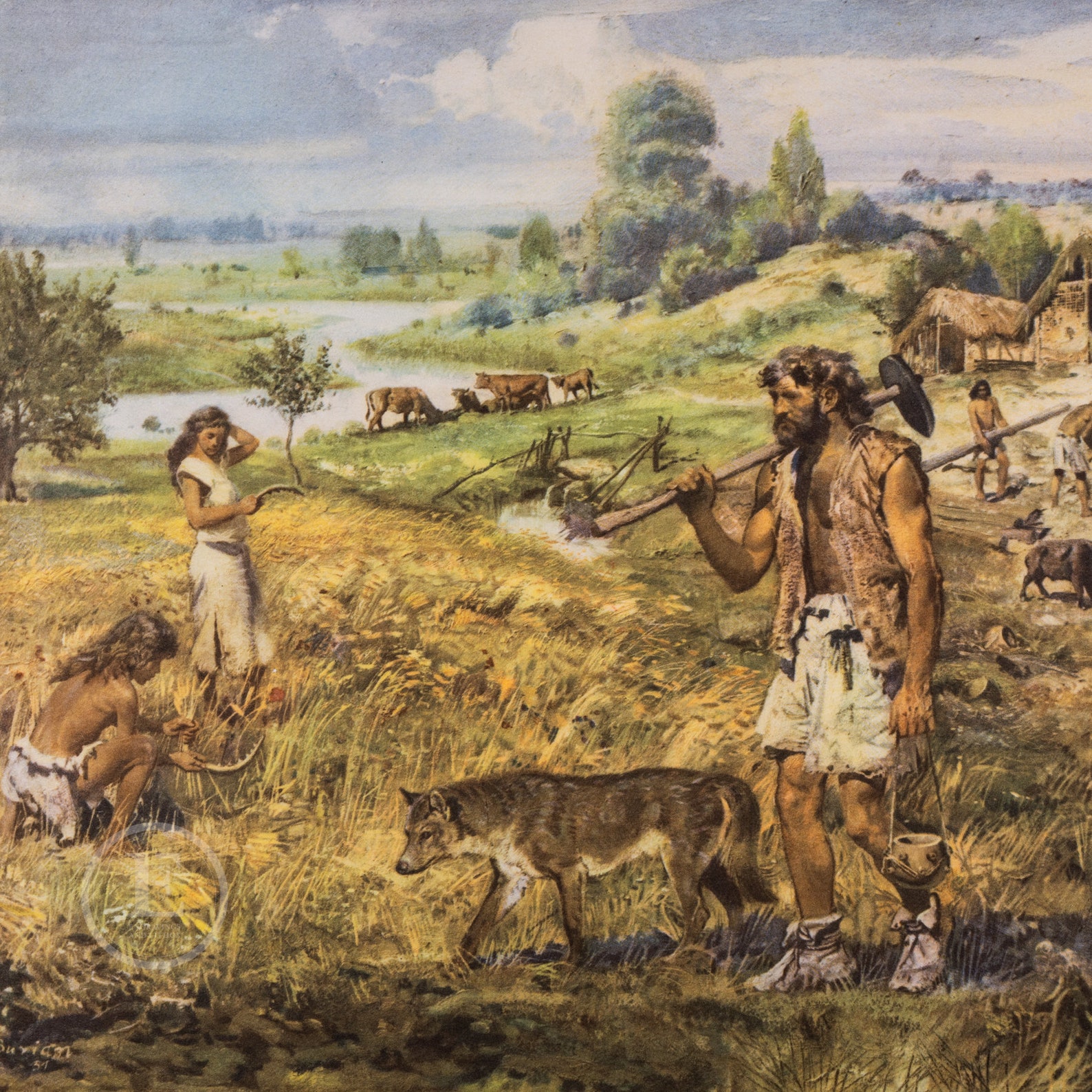 The Prehistoric Man: A Neolithic Settlement - Original Vintage ...