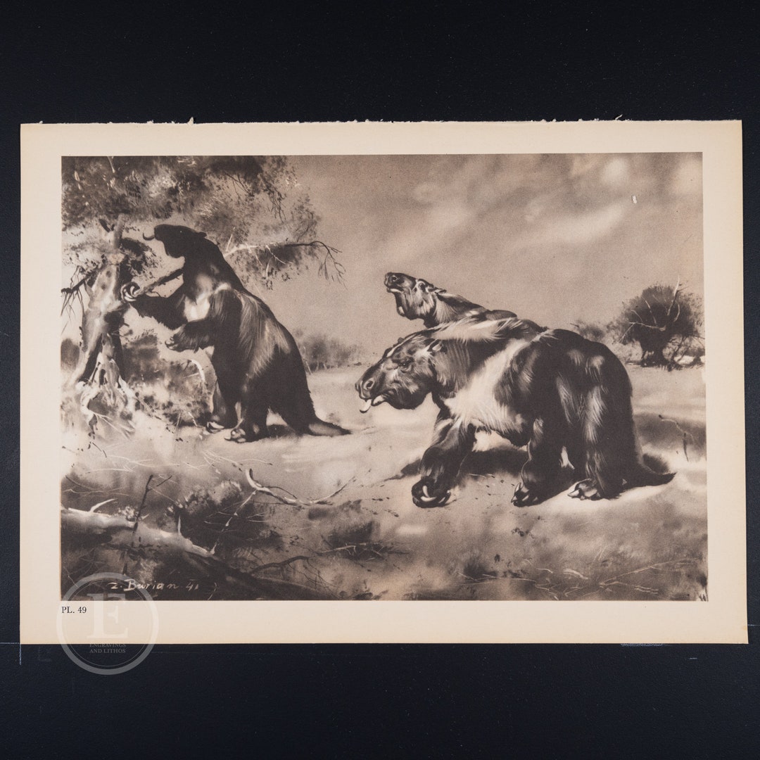 Megatherium: Ground Sloths From the Early Pliocene - Original Vintage ...