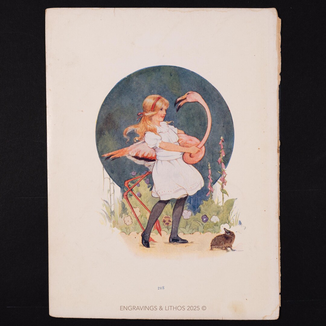 1916 ALICE, FLAMINGO and HEDGEHOG – Vintage Illustration From Alice’s ...