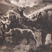 Brontotherium: Odd-toed Ungulate Rhinoceros-like Mammals - Original ...