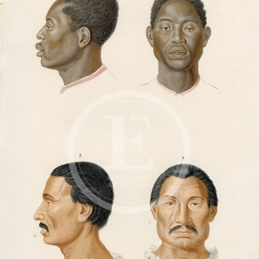 1849 Human Races: African and Charrúa - Dictionnaire D'histoire by ...