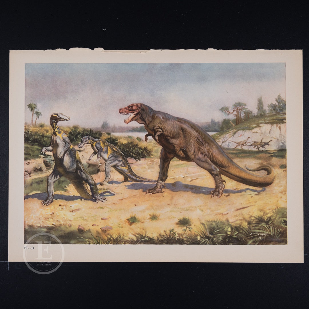 Trachodon and Tyrannosaurus From Cretaceous Period - Original Vintage ...