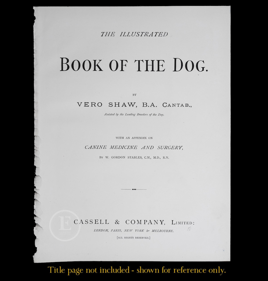 1881 FOXHOUND and POINTER CROSS in France - Original Black and White ...