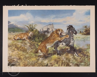 The Miocene Scene Original Vintage Lithograph Print of Extinct ...