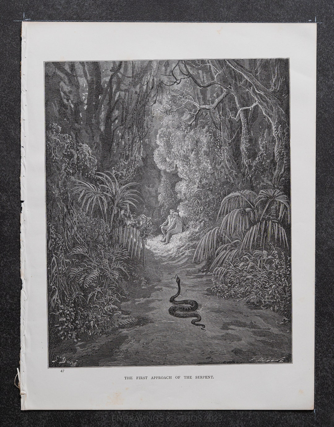 The First Approach of the Serpent Original Engraving From - Etsy