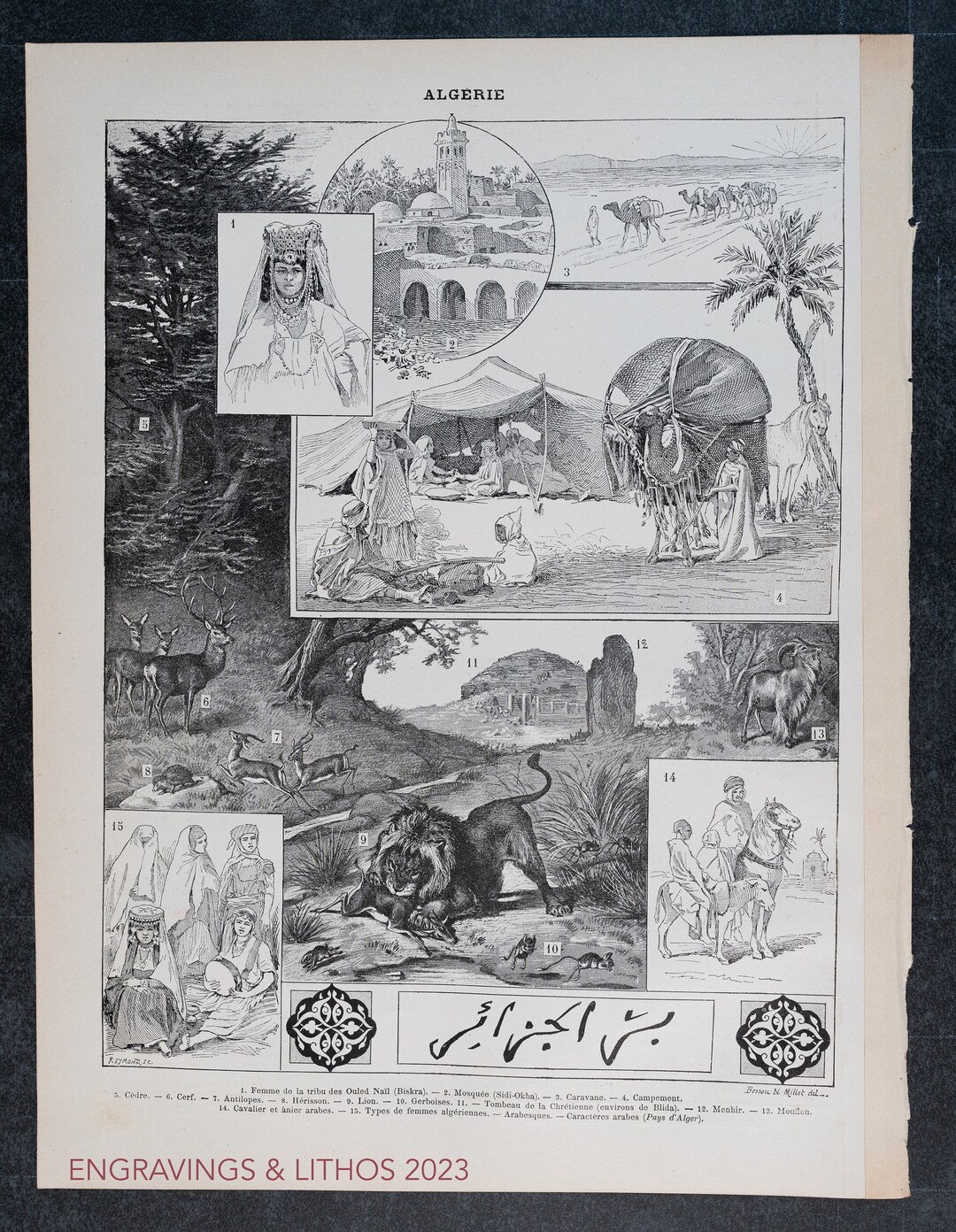 Algeria and Tunisia Map / Algerian Native Women, Mosque, Caravan From ...