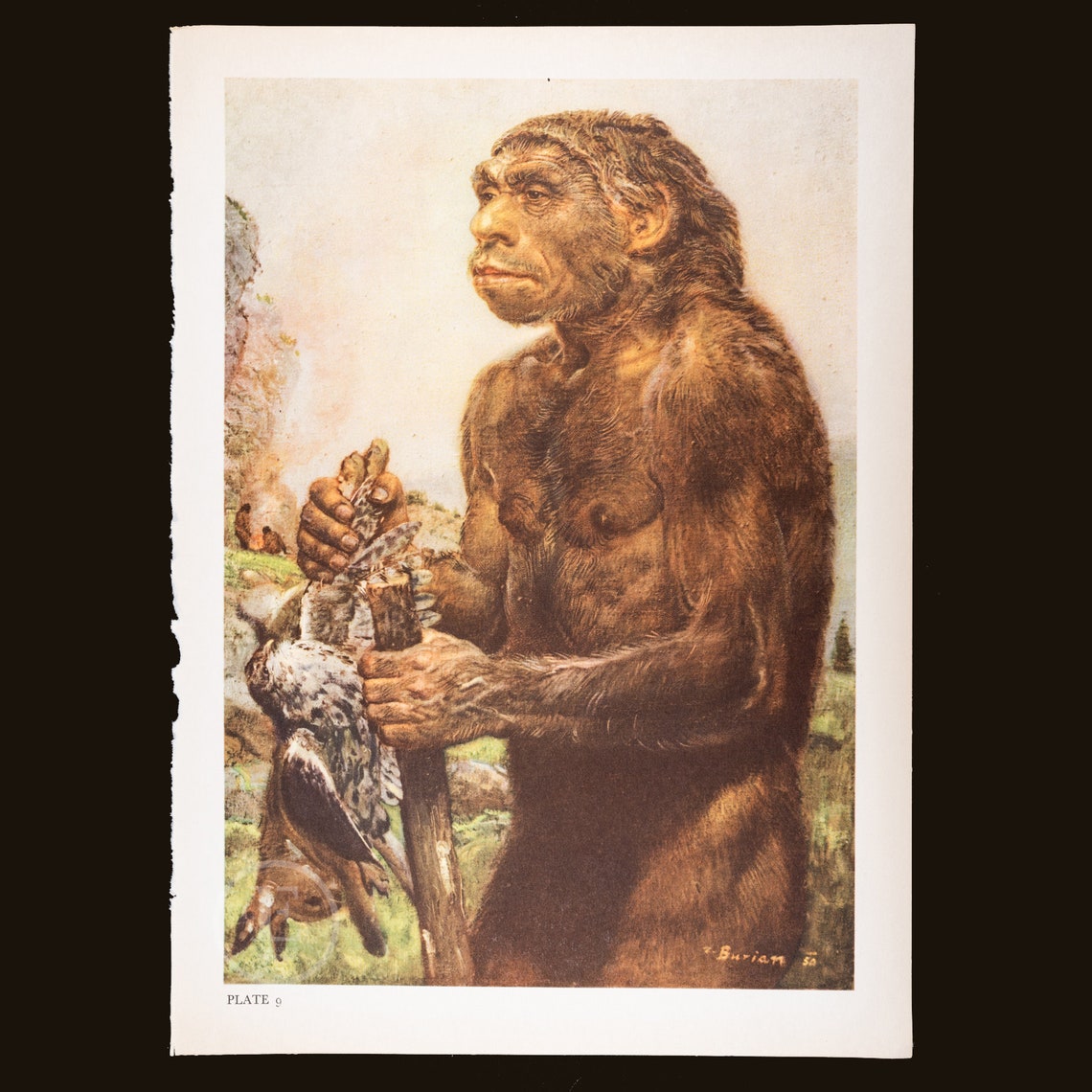What the NEANDERTHALERS Look Like - Original Vintage Lithograph Print ...