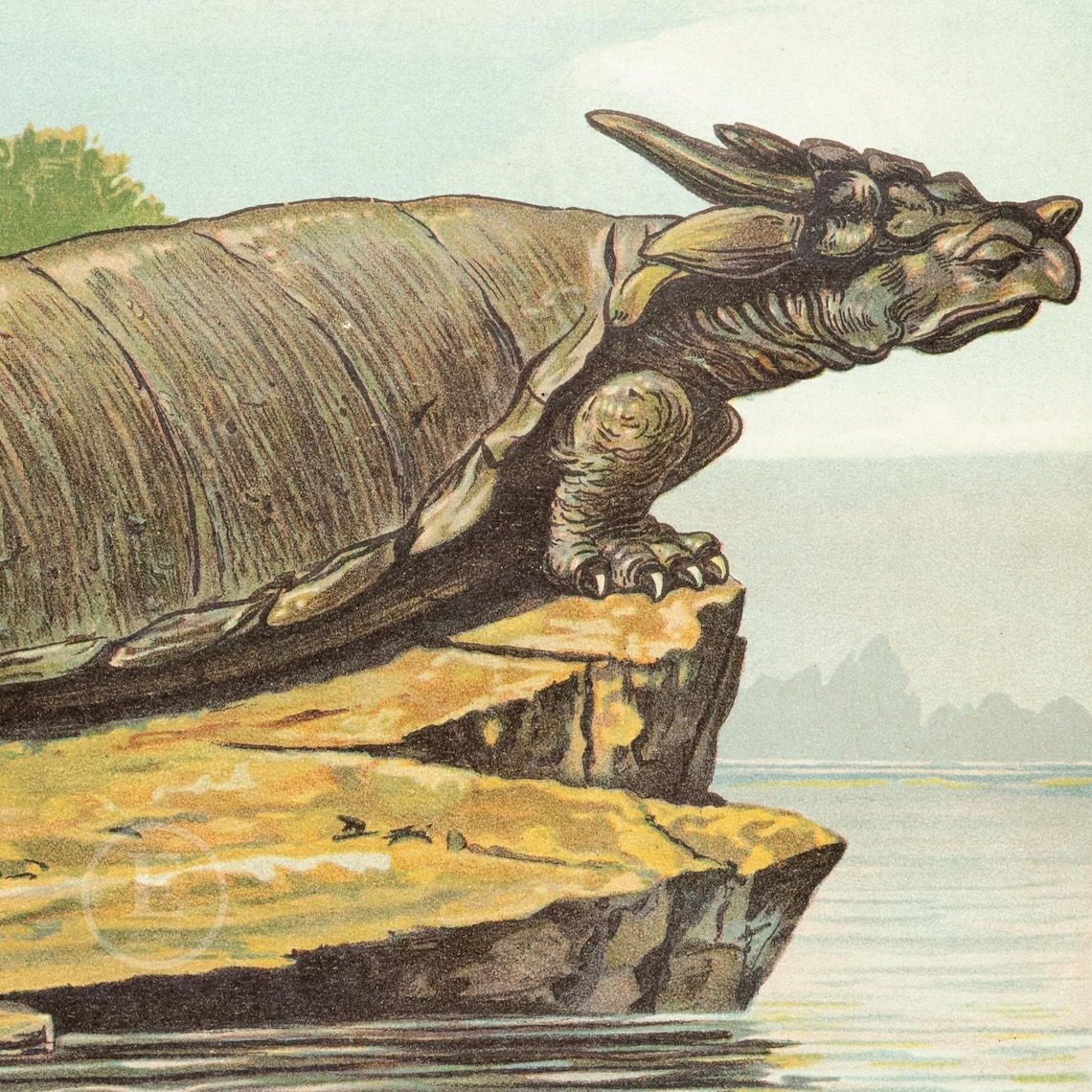 1902 MEIOLANIA, Extinct Giant Turtle From the Pleistocene Epoch ...