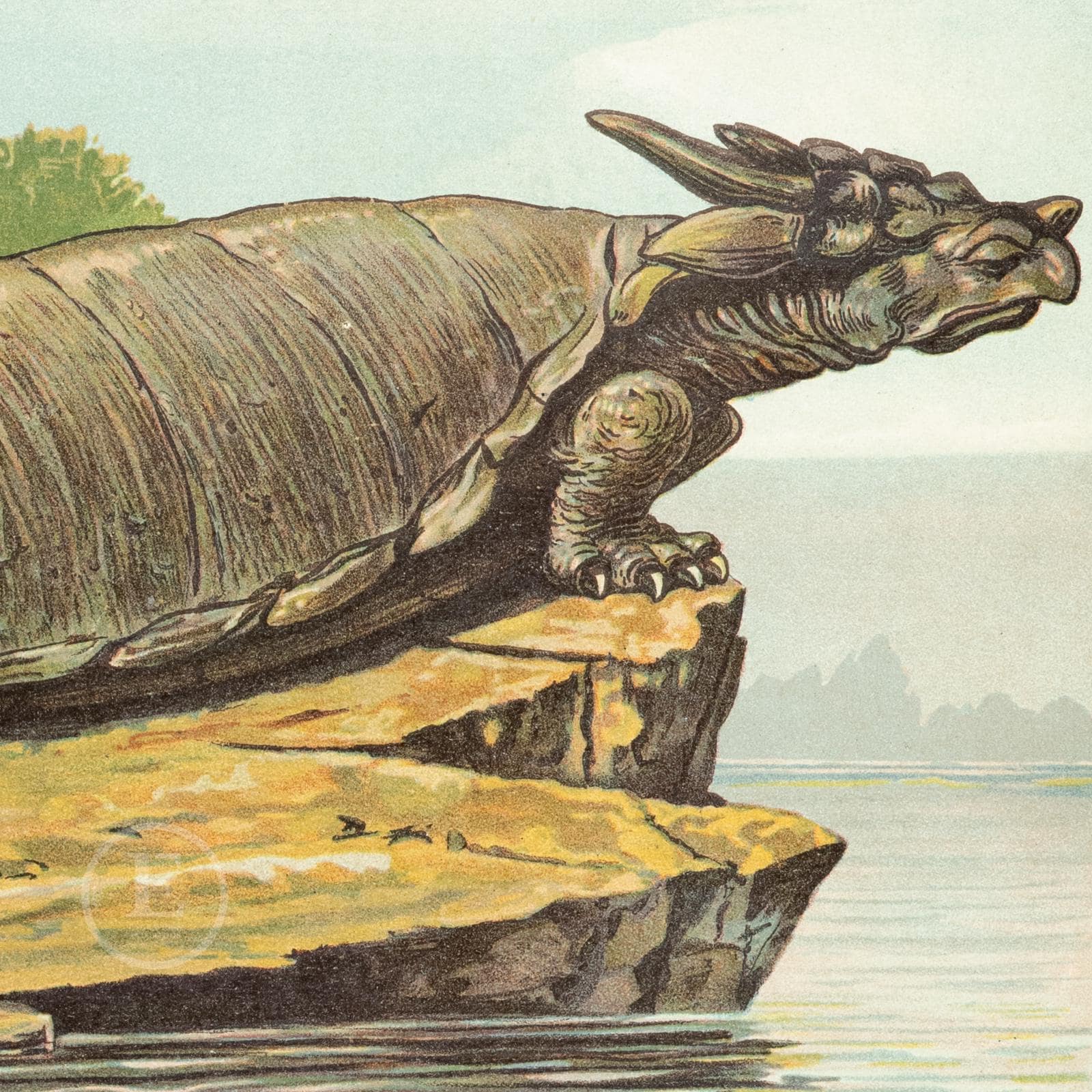 1902 MEIOLANIA, Extinct Giant Turtle From the Pleistocene Epoch ...