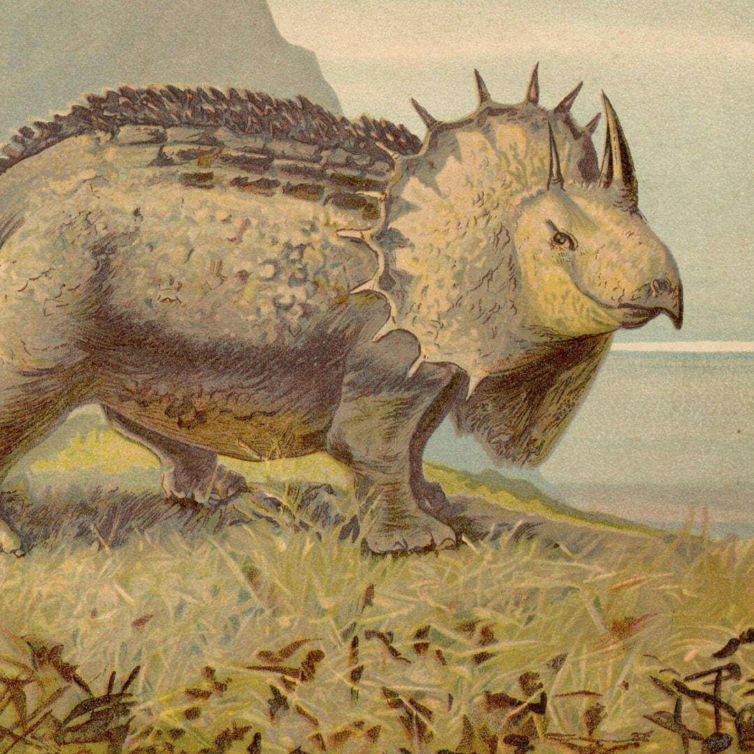 1902 TRICERATOPS DINOSAUR - Vintage Print From Tiere Der Urwelt ...