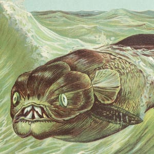 1902 DINICHTHYS, Extinct Placoderm Fish - Vintage Print From Tiere Der ...