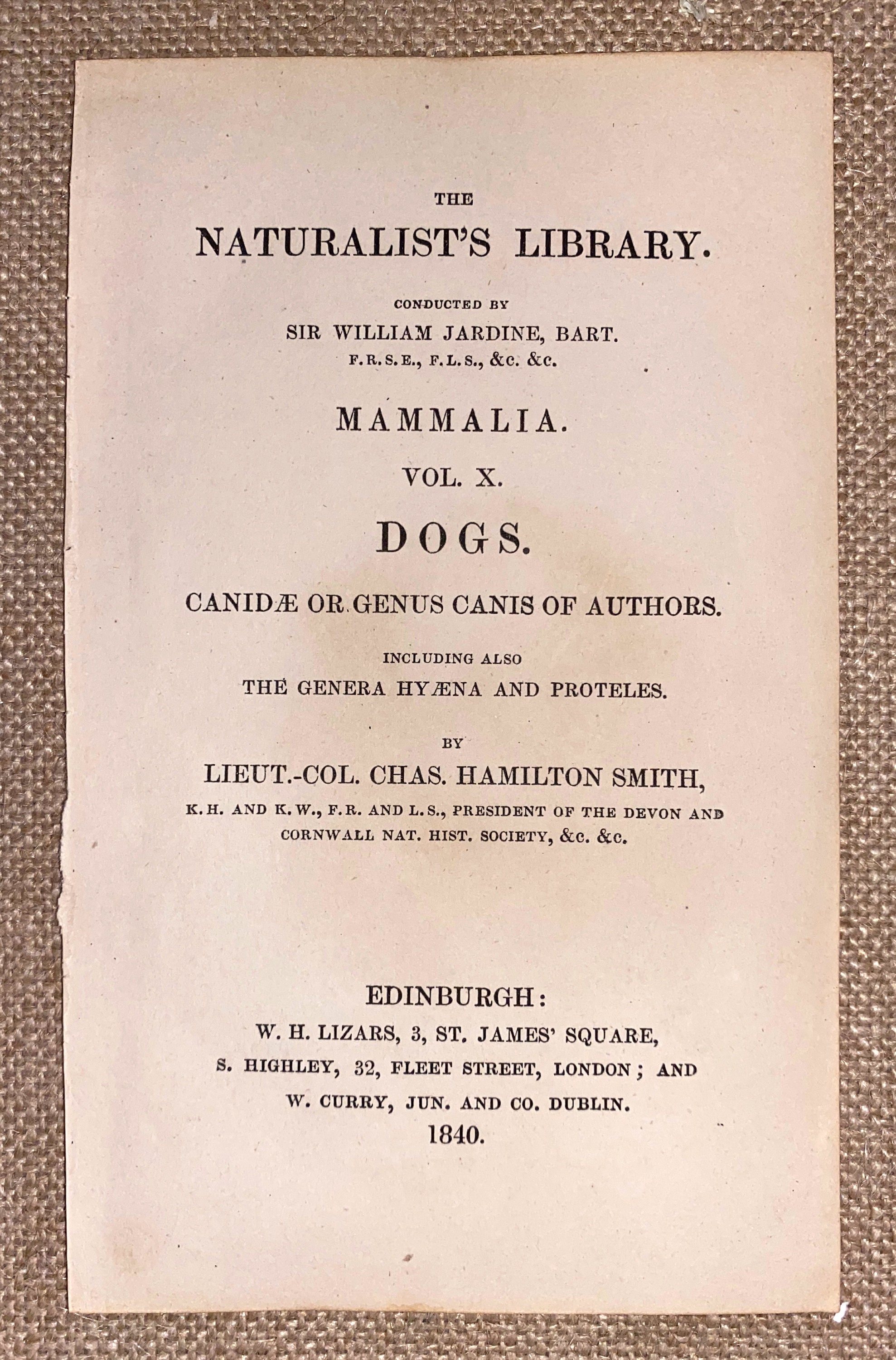 Alco and Carrier Dog Rare Original From the - Etsy