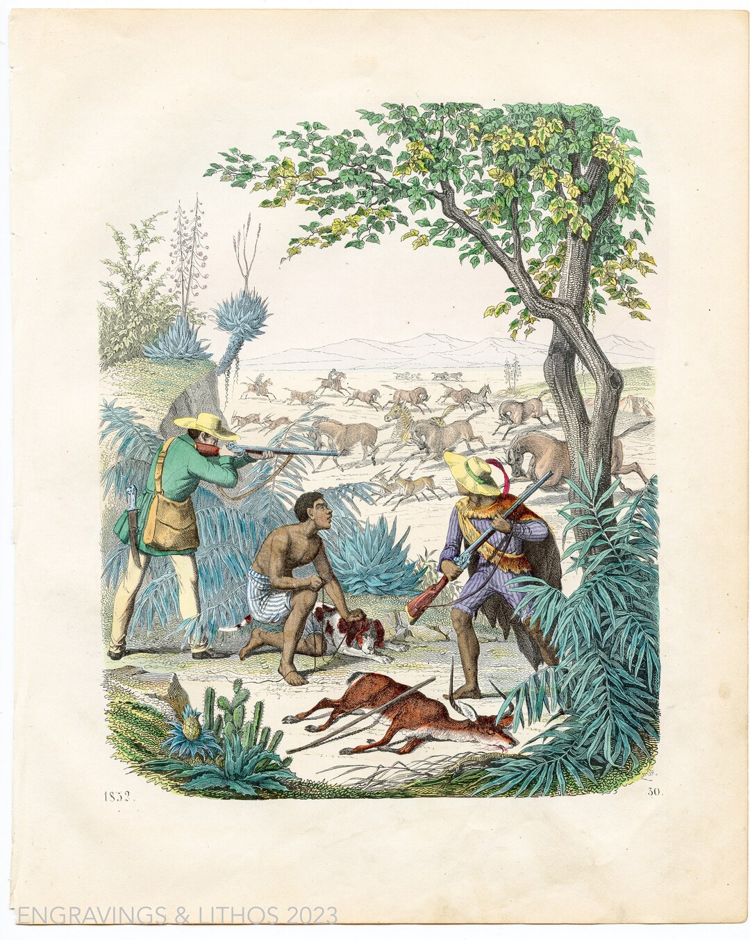 1852 the Commencement of the Caffre War - Very Rare Plate From "book of ...