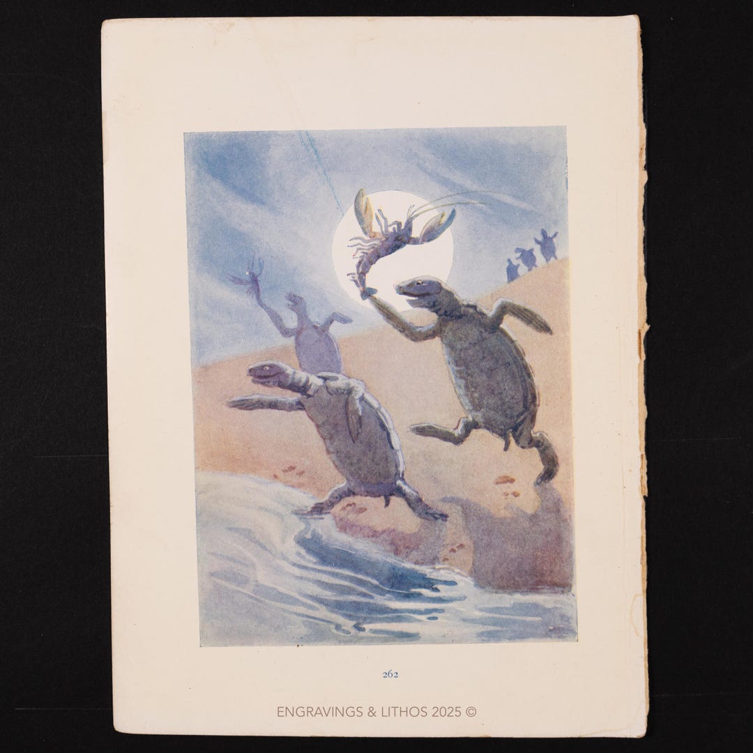 1916 THE LOBSTER QUADRILLE – Vintage Illustration From Alice’s ...