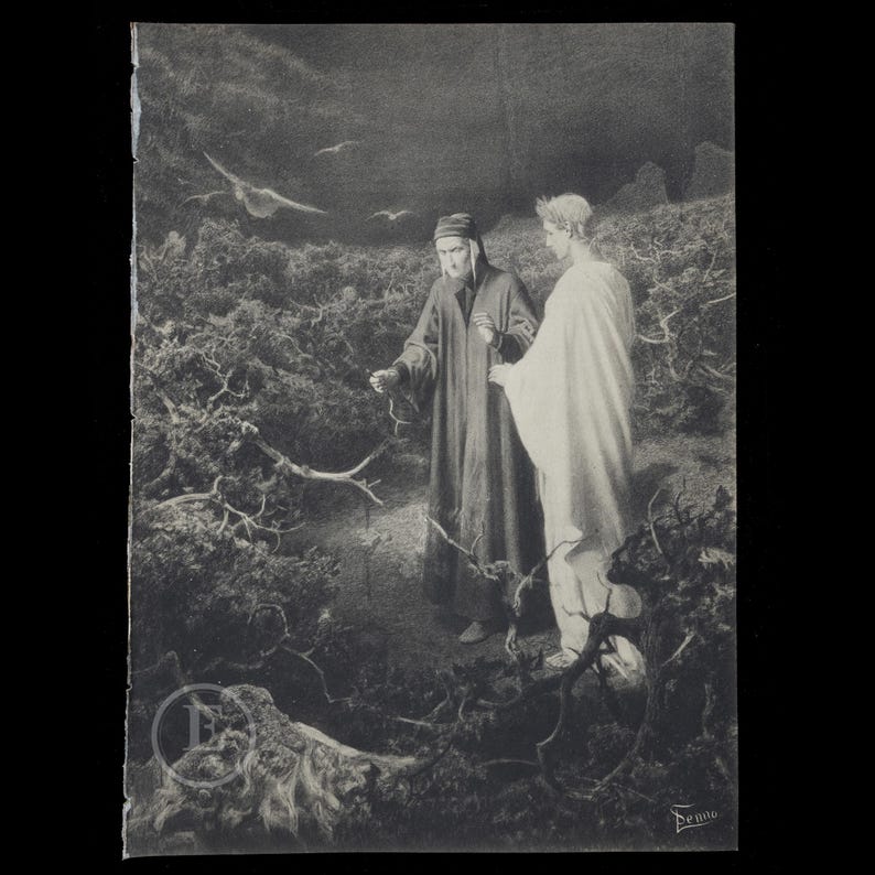 The Wood of the Suicides - Inferno: Canto XIII - Collotype Plate From ...