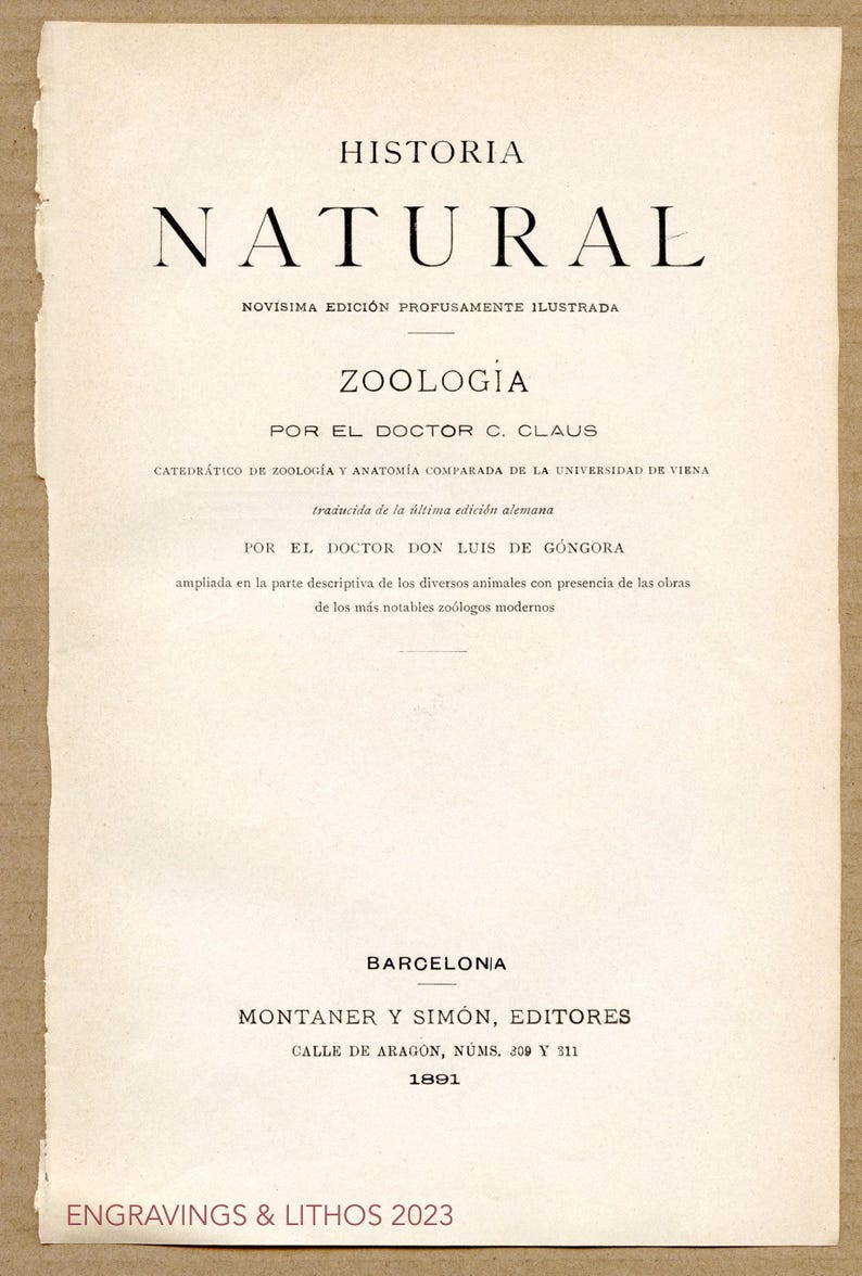 1891 the Gymnosperms:conifers, Cycads, Ginkgo, and Gnetophytes ...