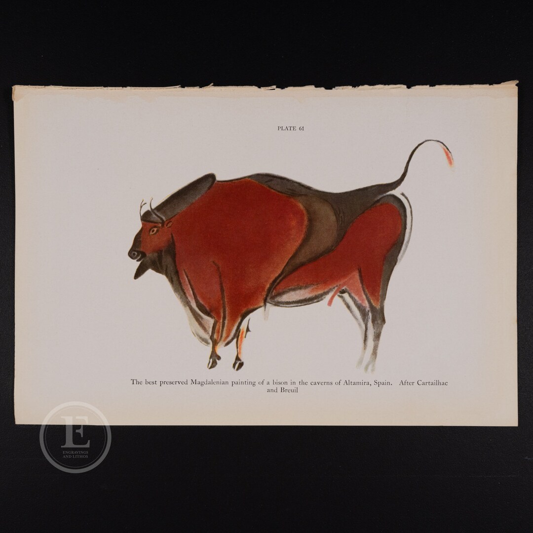 The Best Preserved Magdalenian Painting of a Bison in the Caverns of ...