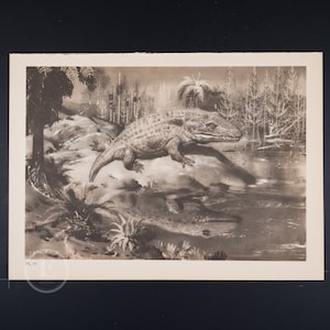 Mastodonsaurus: Extinct Amphibian - Original Vintage Lithograph Print ...