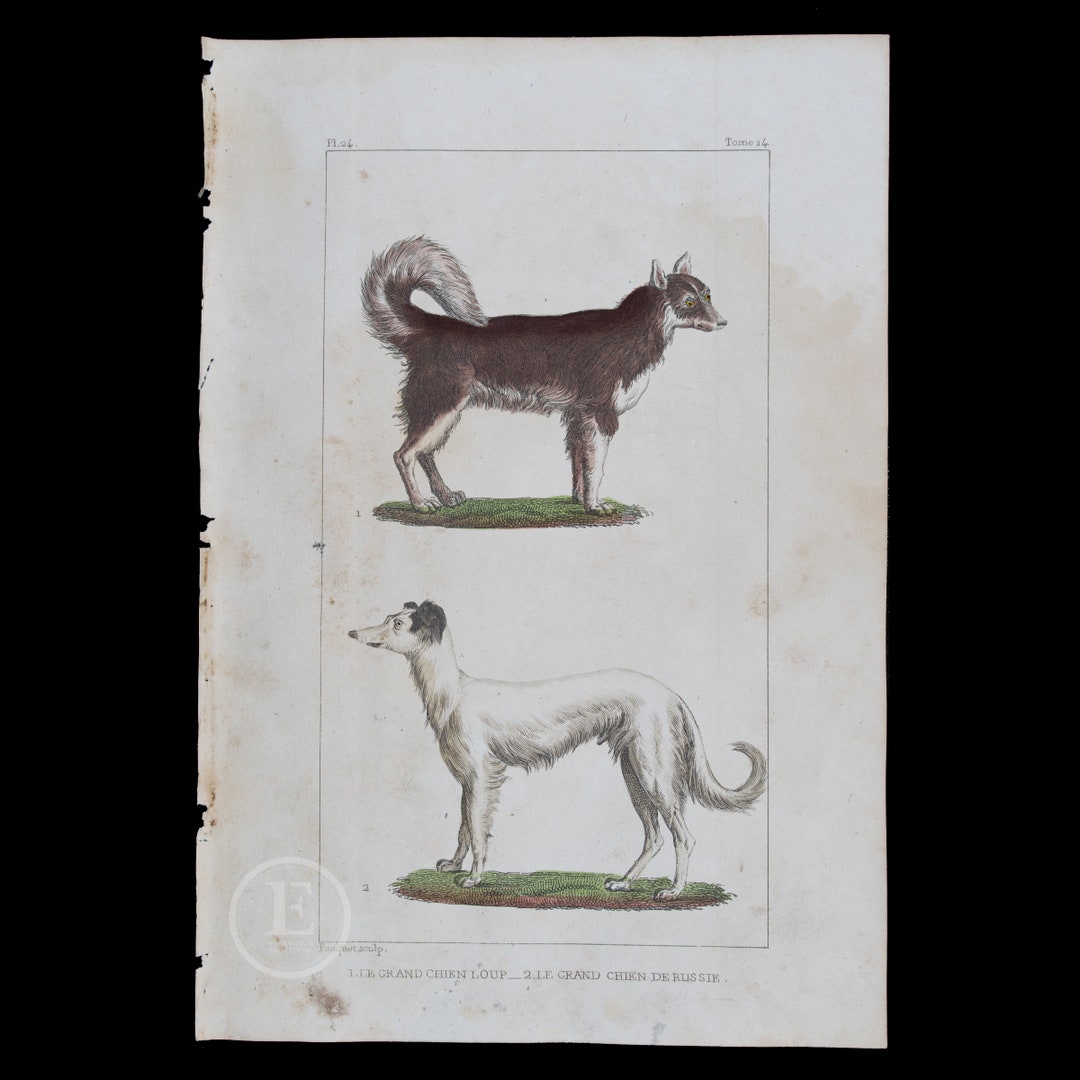 The Great Wolfdog and the Great Dog of Russia / Authentic Steel ...