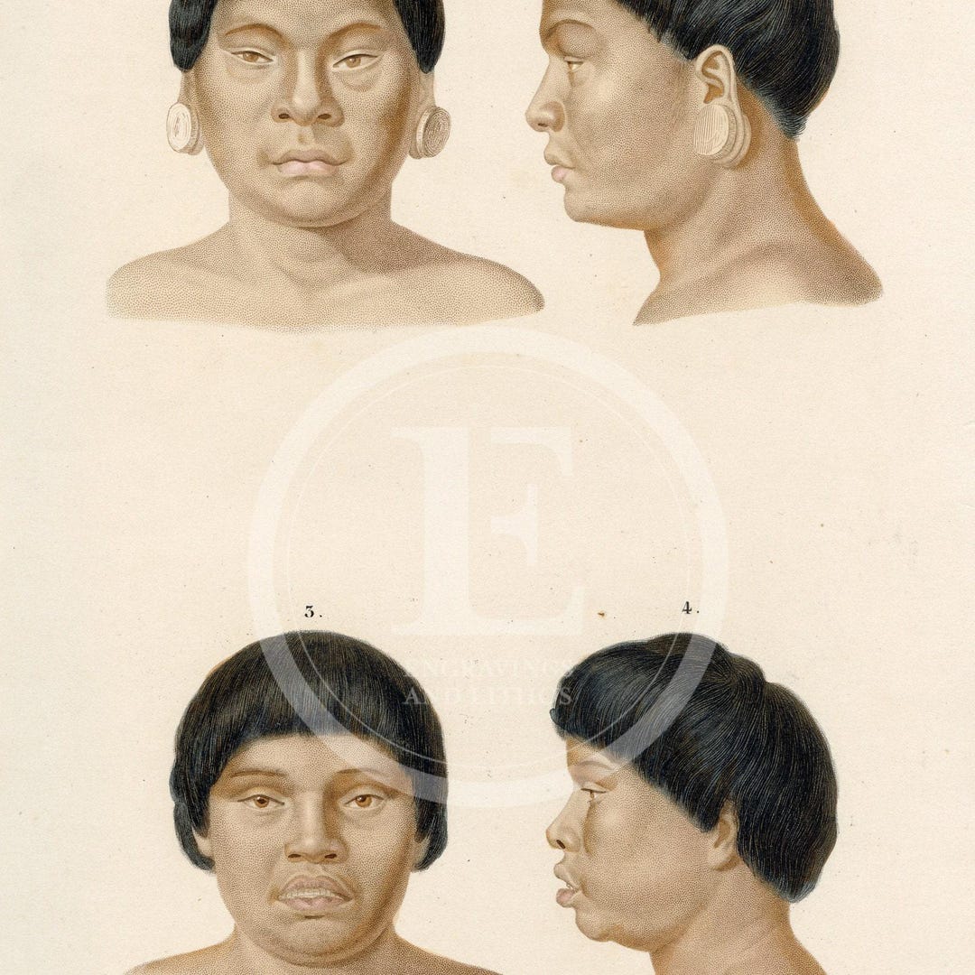 1849 - Human Races: Botocudo, South American Indian – D’orbigny Natural ...