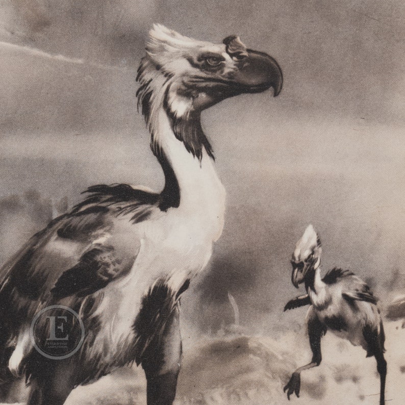 Phorusrhacos: Giant Flightless Terror Bird From Miocene Epoch ...