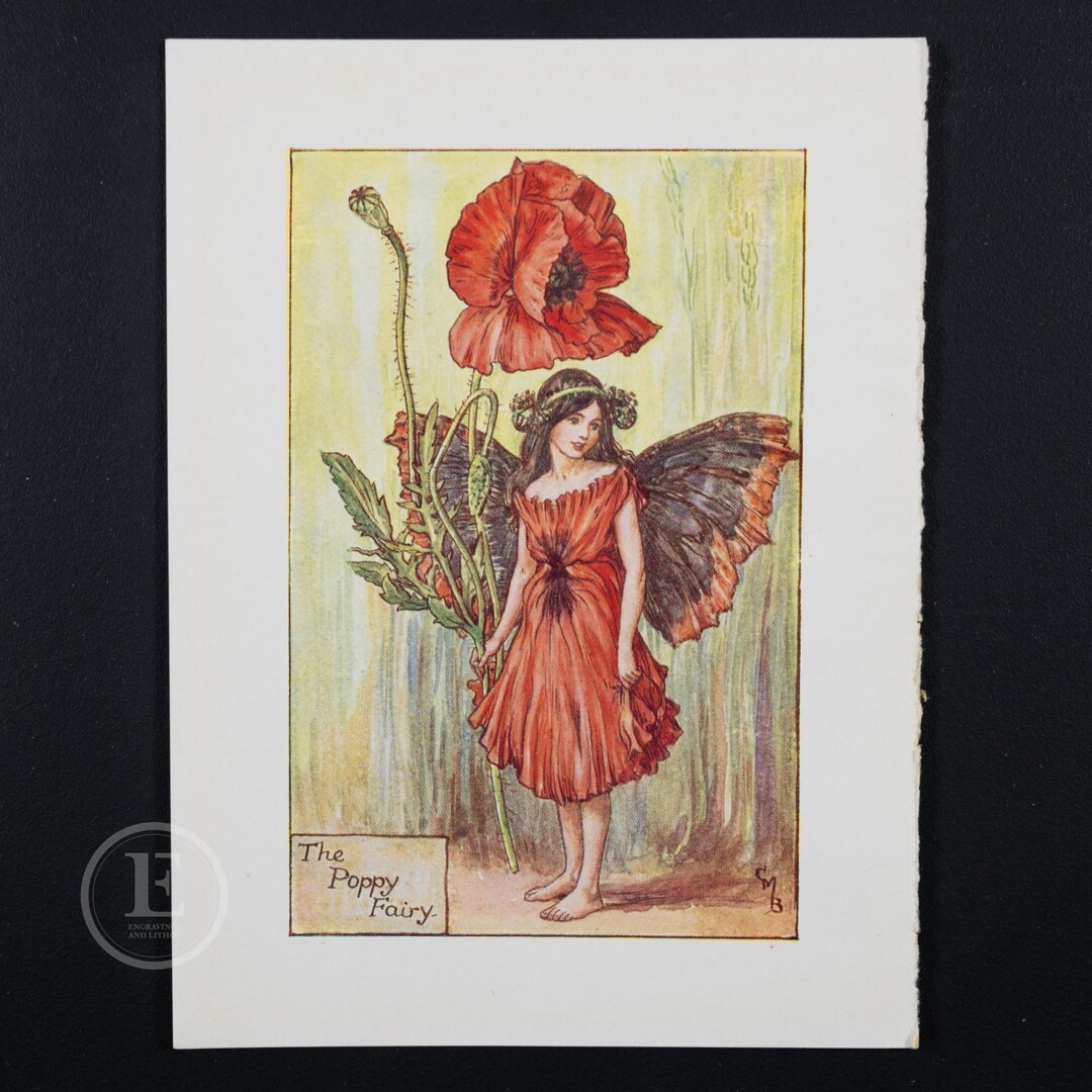 1940 the Poppy Fairy - Small Vintage Flower Fairy Lithograph - Nursery ...