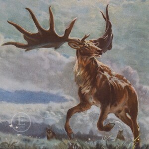 Giant Stag: Moose From the Pleistocene Epoch Original Vintage ...