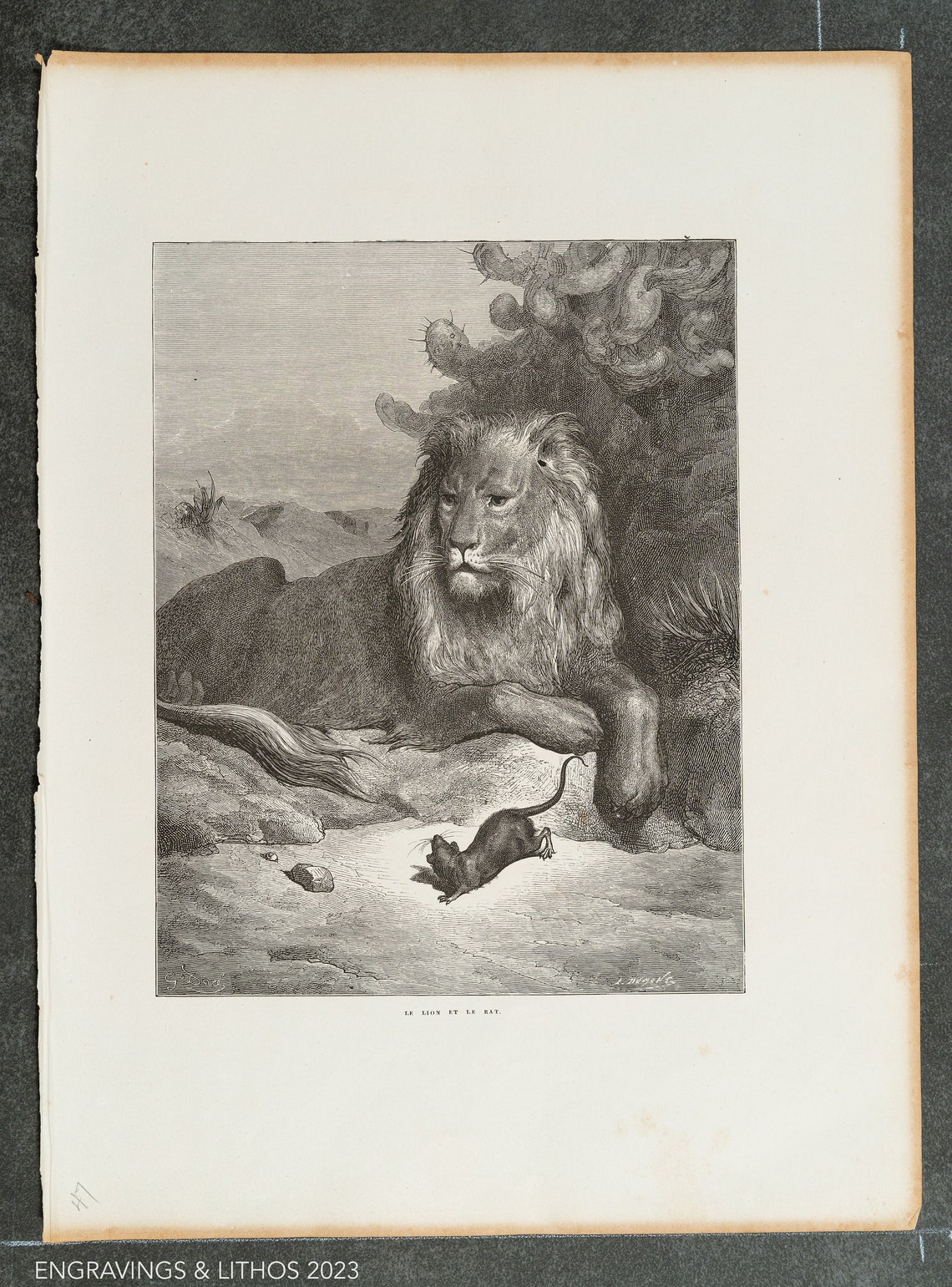 The Lion and the Rat Original Engraving From fables De - Etsy