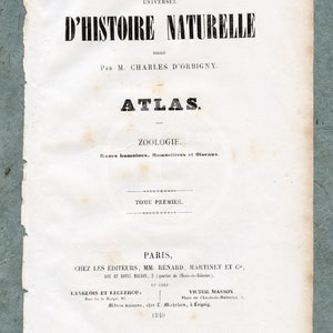 1849 Human Races: Botocudo, South American Indian - Dictionnaire D ...