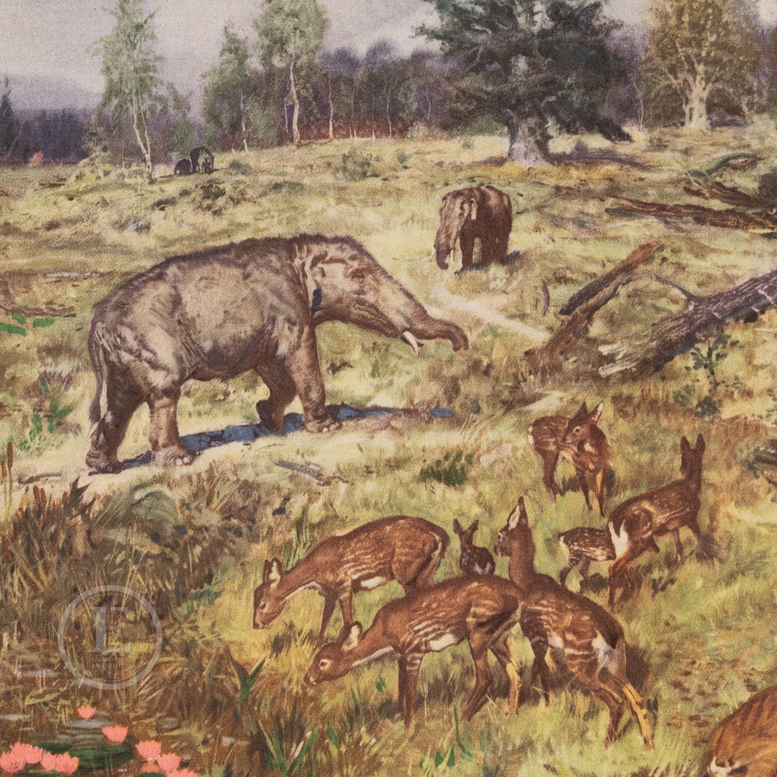 The Miocene Scene - Original Vintage Lithograph Print of Extinct ...