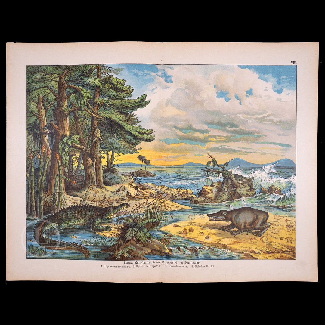 Ideal Landscape of the Triassic Period in Germany Antique Original ...